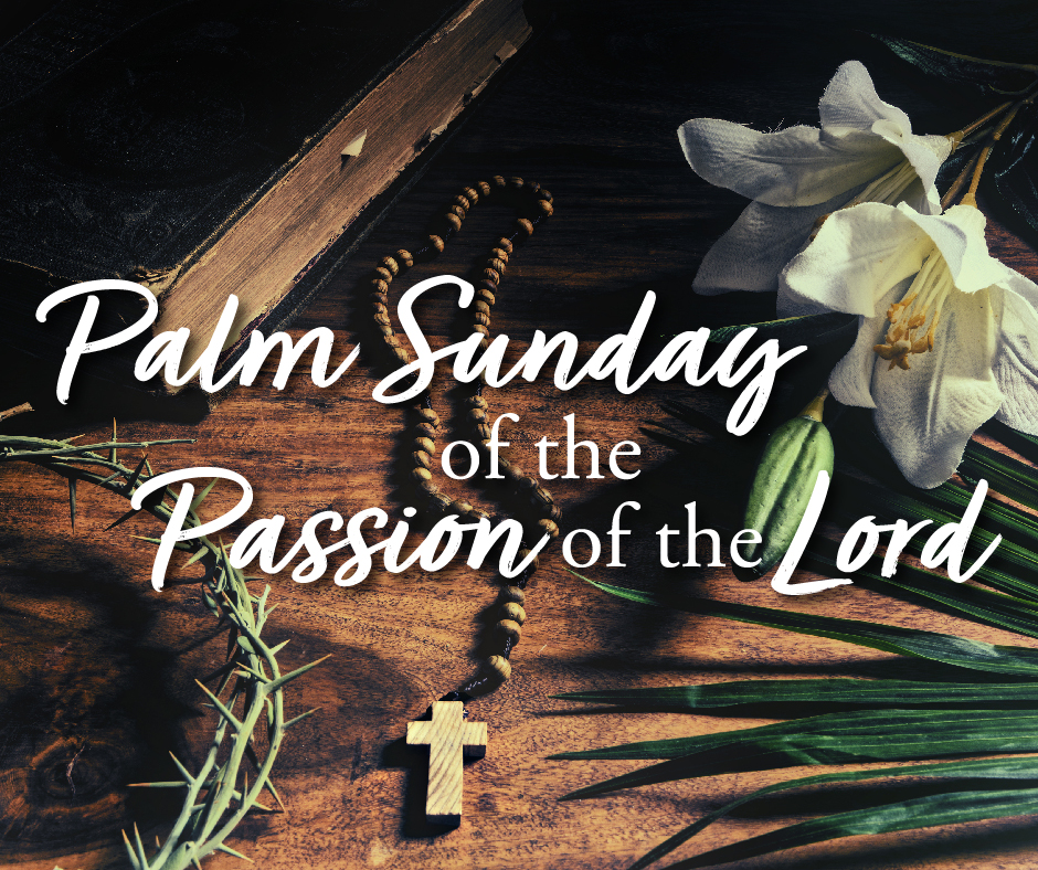 Diocese of Gaylord | palm sunday color